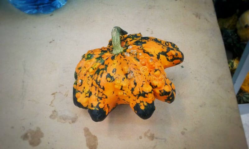 Hallowen punking stock image. Image of pumbing, punking - 100757713