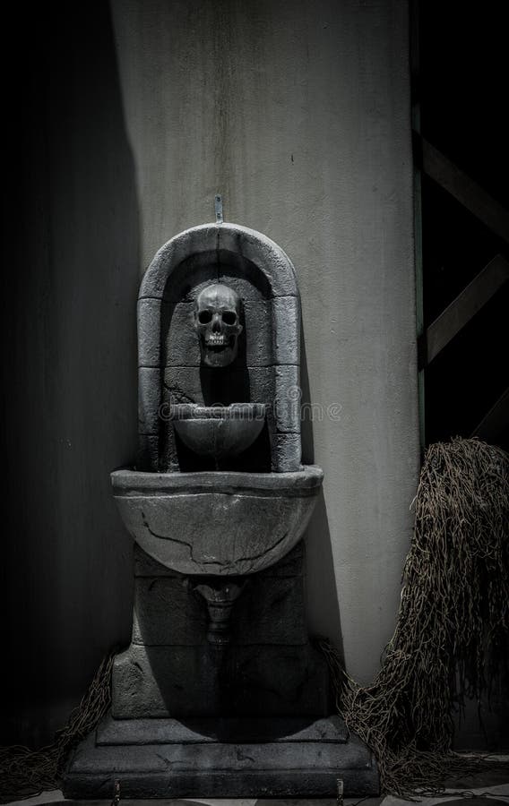 Horror Background and Cranium for Halloween Stock Image - Image of ...