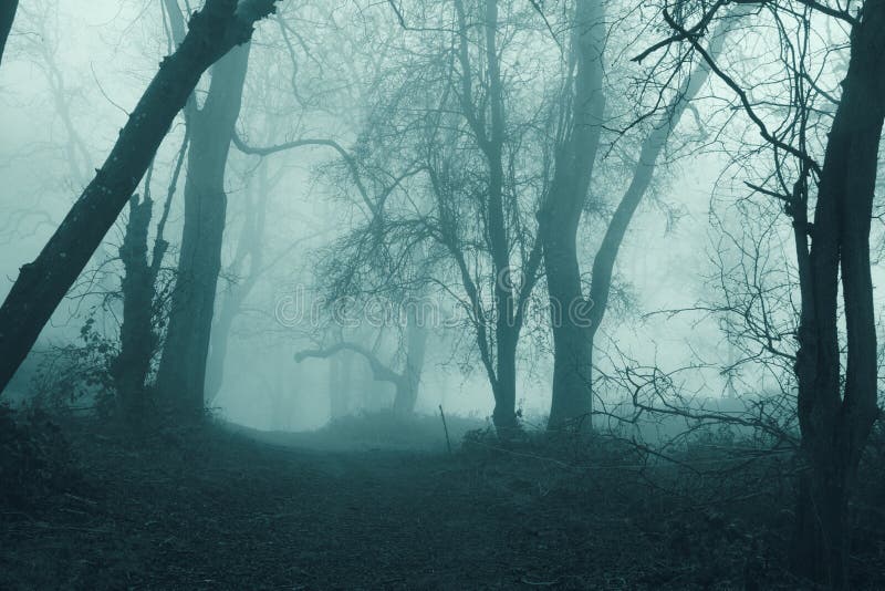 A Horror Concept of a Path through a Spooky Forest on a Foggy Winters ...