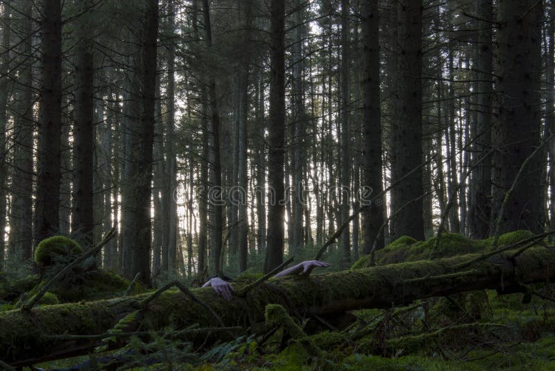 A Horror Concept of a Spooky Winter Forest with Zombie Hands Coming Out ...