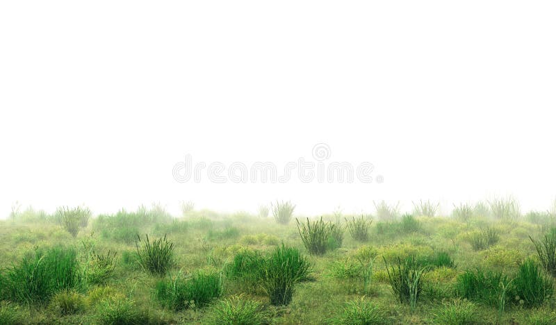 Horror concept. stock illustration. Illustration of misty - 82816964