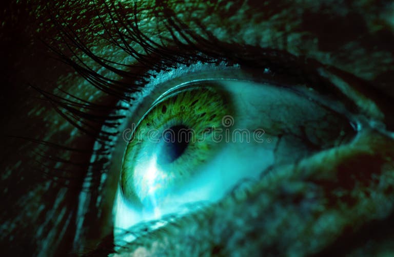 Horror eye stock photo. Image of detail, close, processed - 30356208