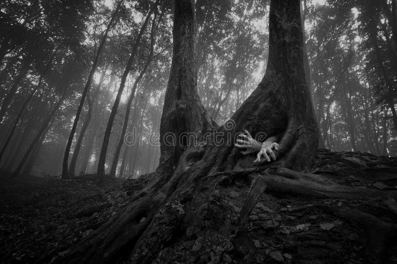 Horror Forest Scene with Hands on Halloween Stock Image - Image of ...