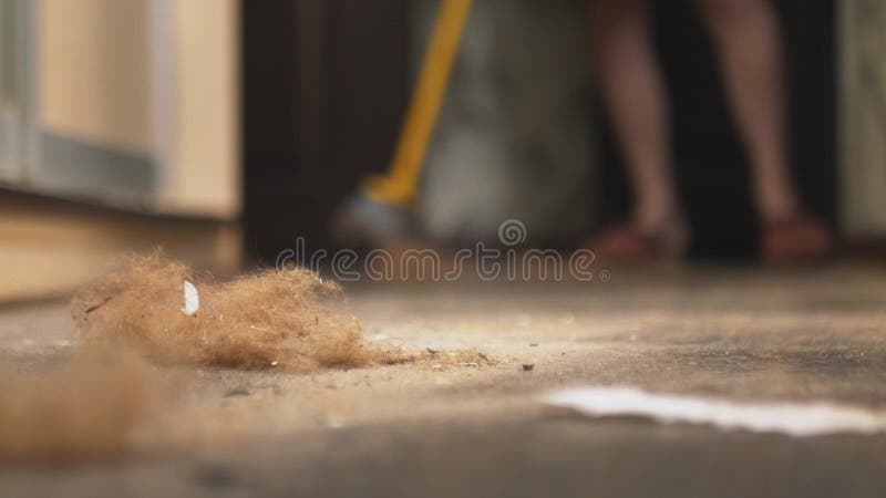 Large-scale Cleaning in the House. Huge Lumps of Dust Stock Footage ...