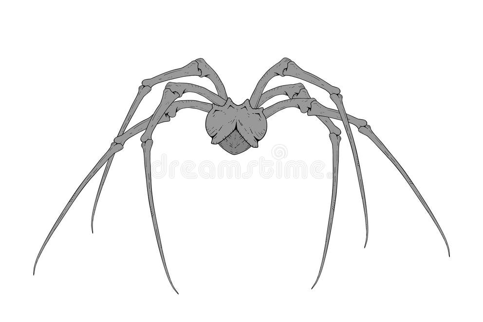 Horror spider draw stock vector. Illustration of design - 290278135