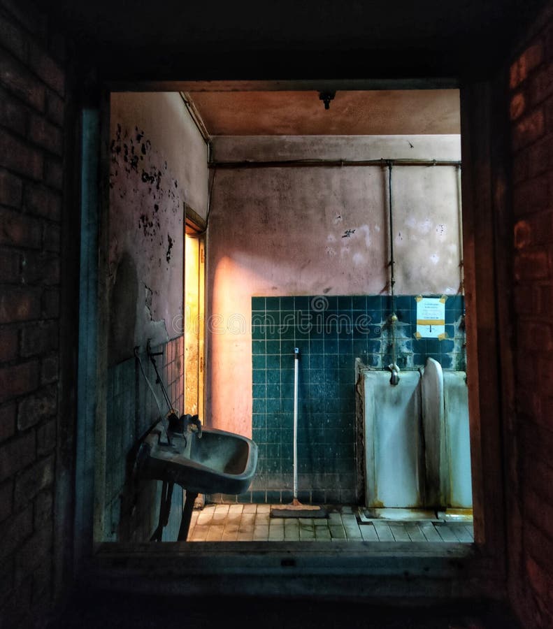 Horror toilet stock photo. Image of house, toilet, room - 200884410