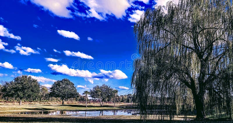 Horry county courthouse stock photo. Image of plant - 233761082