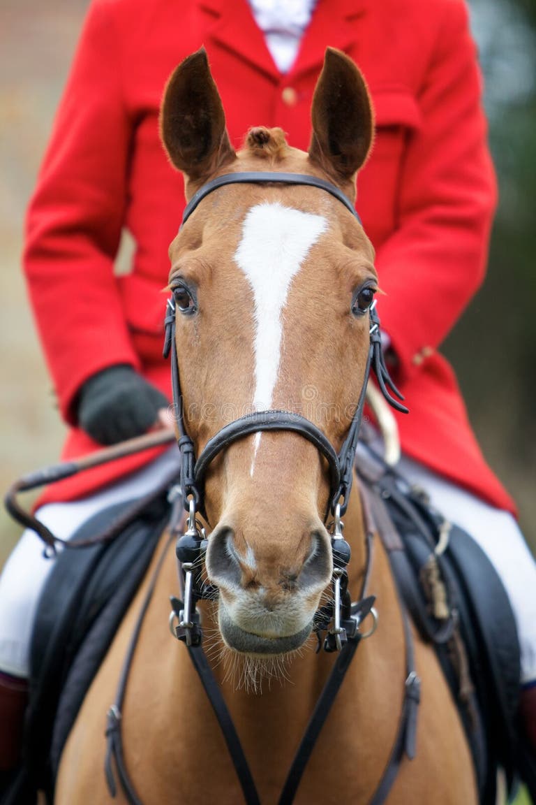 8,405 Red Horse Rider Stock Photos - Free & Royalty-Free Stock Photos ...