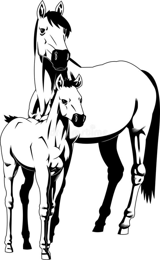 Outlined Realistic Cartoon Silhouette Mare and Foal Horse Stock Vector ...