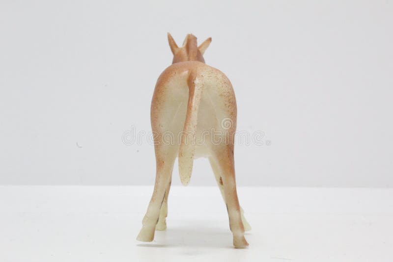 Horse Back View Very Clear Image Stock Image - Image of racehorse, race ...