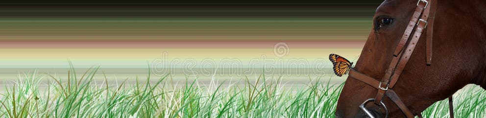 Horse banner stock illustration. Illustration of stable - 5548465