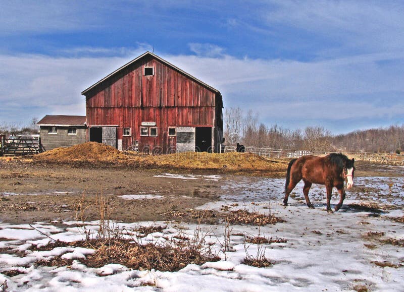 Horse Barn stock photo. Image of horse, equestrian, metal - 2391376