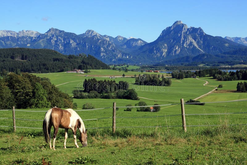The Bavarian Alps stock photo. Image of autumn, agriculture - 31296354