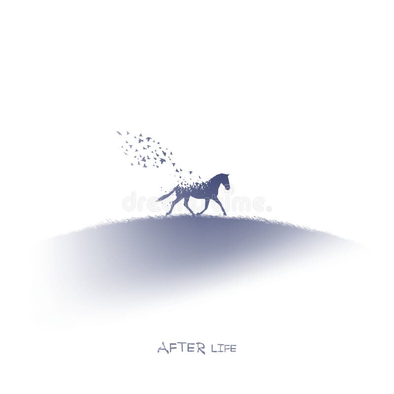 Death White Horse Stock Illustrations – 286 Death White Horse Stock ...