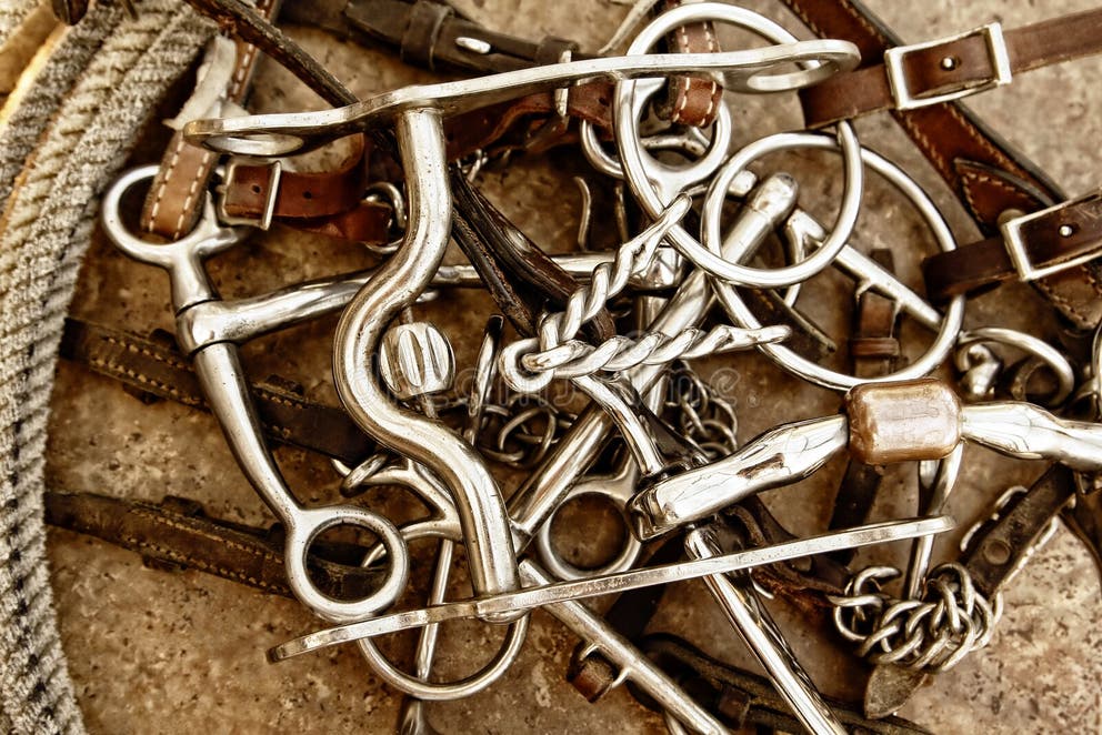 Horse Bits, Tack Leather & Rope (Brown) Stock Photo - Image of multiple ...