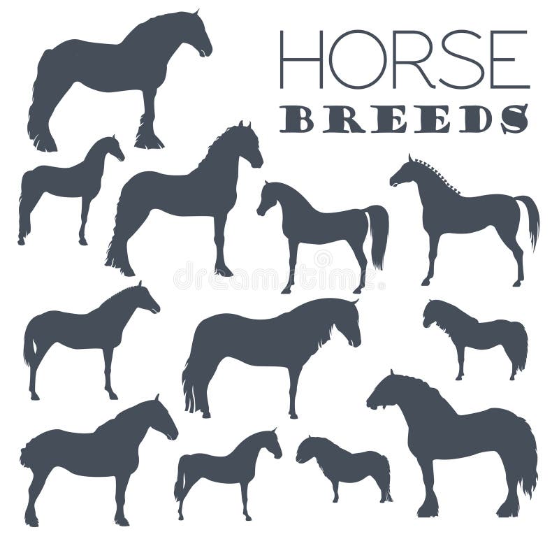 Horse Breeding Icon Set. Farm Animal Stock Vector - Illustration of ...