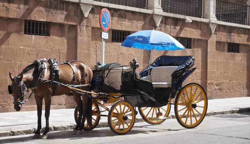 Horse car. stock image. Image of horse, typical, tourism - 31943395