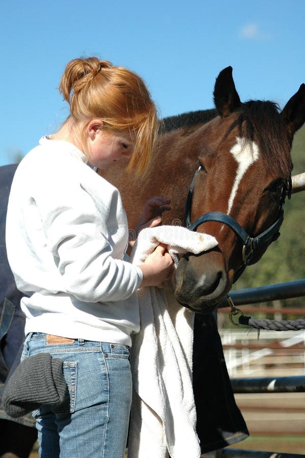 Horse care stock photo. Image of woman, friends, tending - 1516446