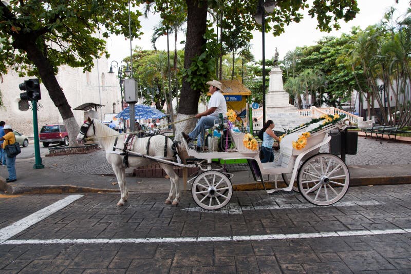 Horse Carriage in Merida editorial photo. Image of mexican - 94333936