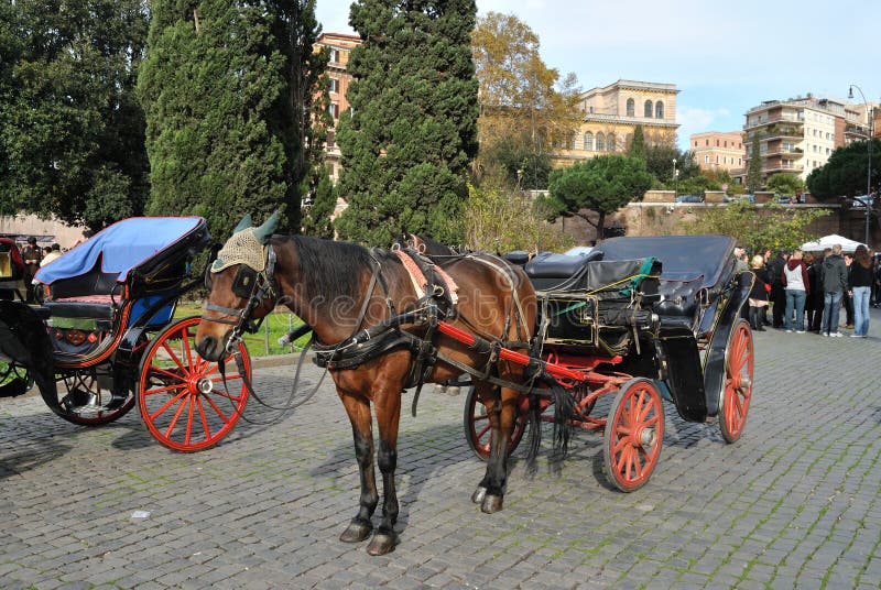 Horse Carriage at Rome, Italy Editorial Stock Image - Image of ...