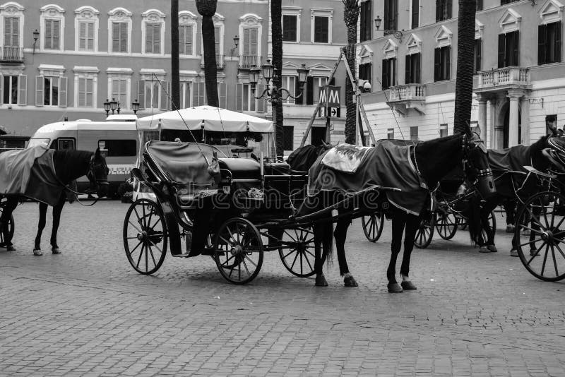 Horse carriage editorial photo. Image of traveler, view - 65936256
