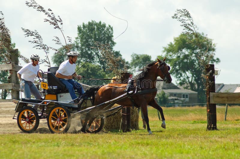 Horse and cart race editorial photo. Image of horse, outdoor - 23378536