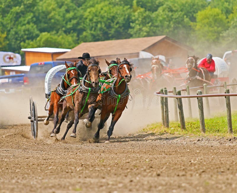 Horse and chariot racing editorial stock image. Image of adventure ...