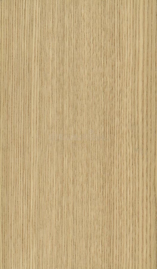 Horse Chesnut Wood Veneer Texture Stock Photo - Image of interior ...
