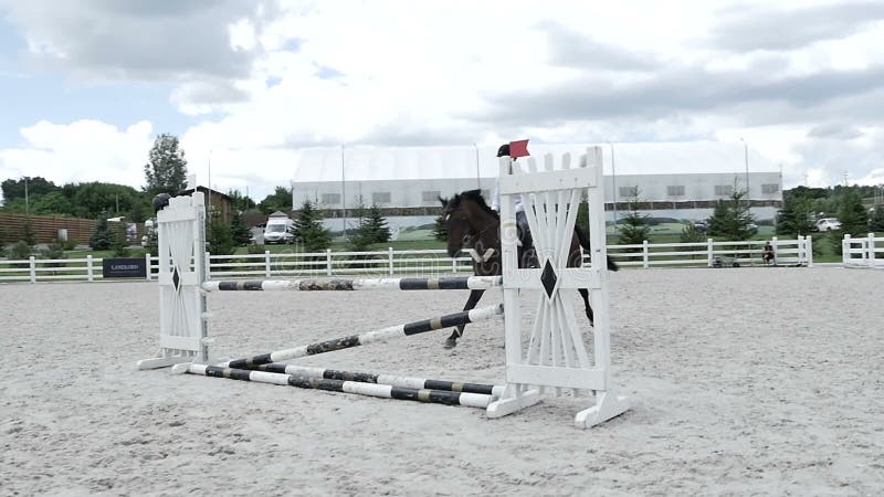 Barrier rider horse race stock footage. Video of mare - 35644623
