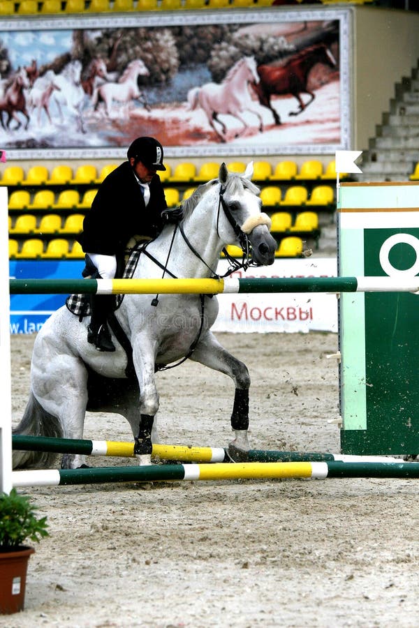 Horse competitions editorial stock image. Image of equestrian - 15725554