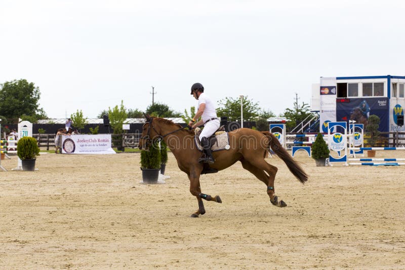 Equitation Contest, Horse Preparing To Jump Over an Obstacle Editorial ...