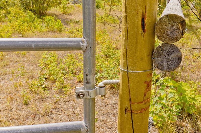Horse corral gate hinge stock image. Image of wooden - 347238445