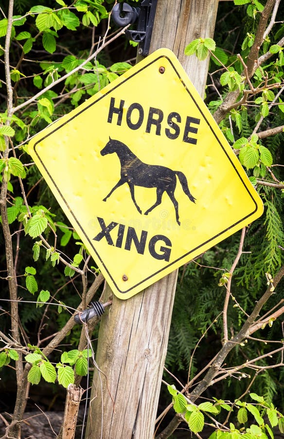 Horse crossing sign stock photo. Image of road, equestrian - 884294
