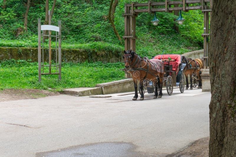 Horse-drawn Carriage Passing through a Green Park Area with Stone ...