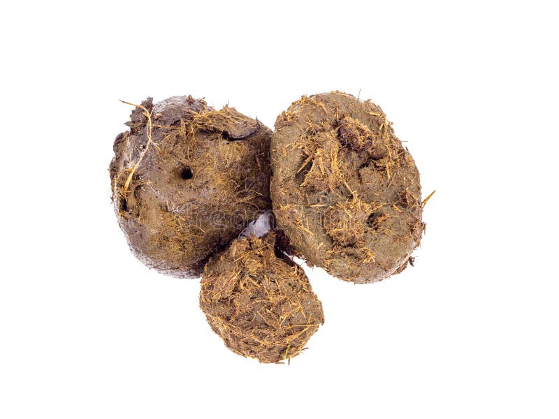 Horse Manure Pellets Fertilizer Isolated on White Background Stock ...