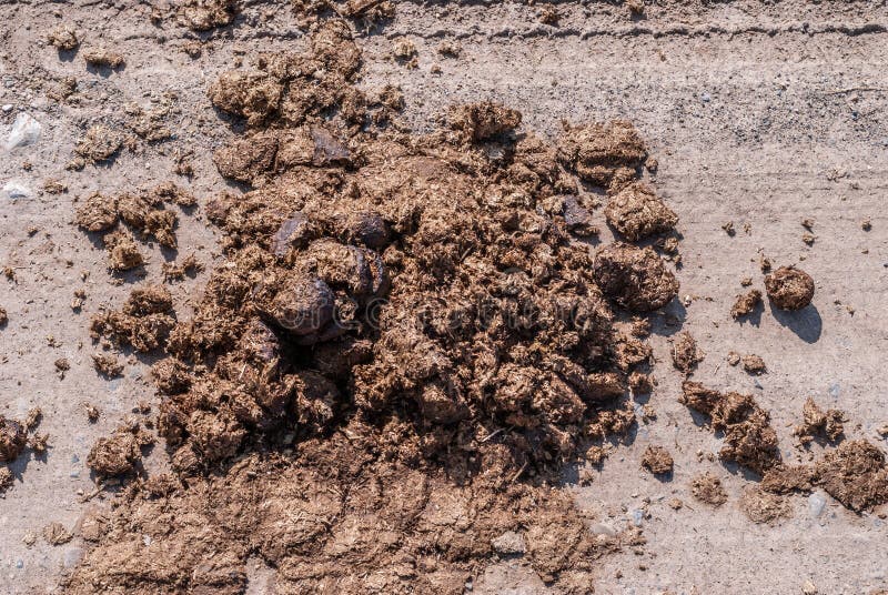 Horse Droppings Scatological Brown Concept Shape and Texture. Stock ...