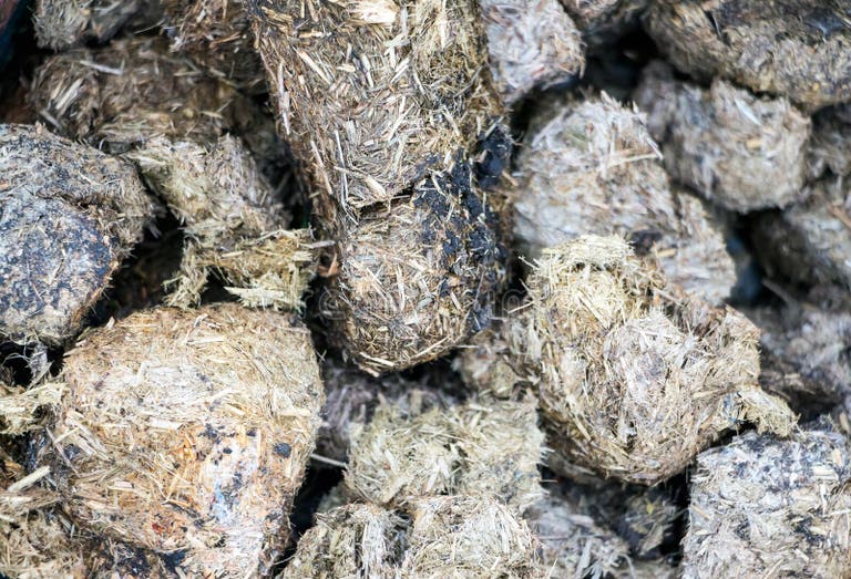 Horse Dung Close-up for Background Stock Image - Image of excrement ...