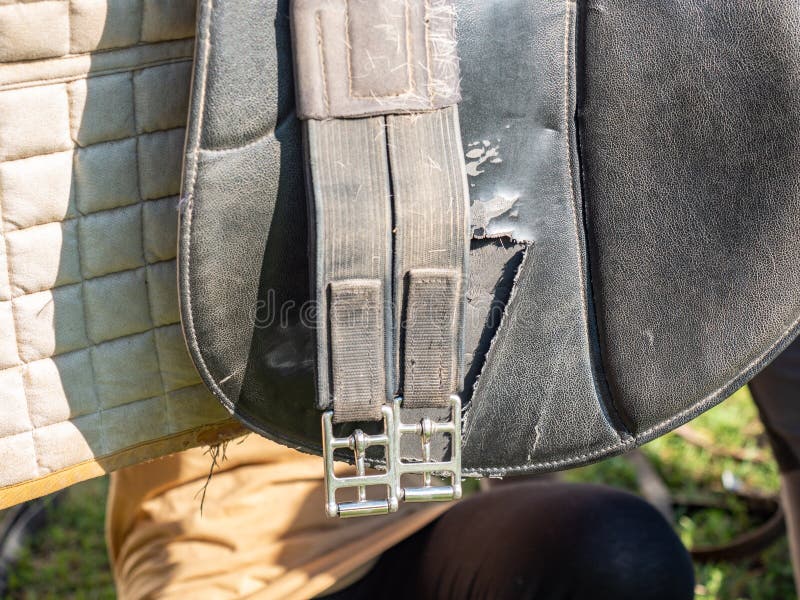 Ponies Changing Stock Photos - Free & Royalty-Free Stock Photos from ...