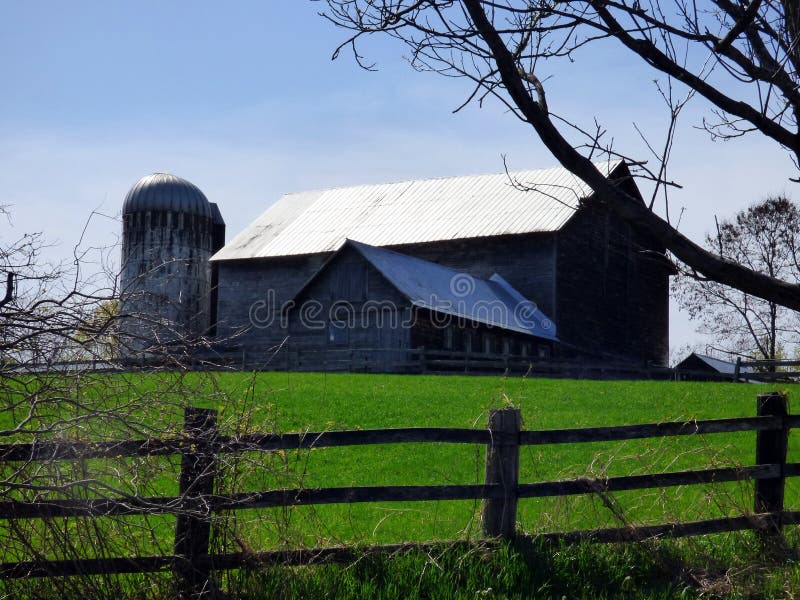 Horse Farm stock photo. Image of country, chicken, floral - 58577940