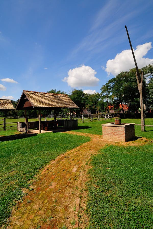 Horse farm stock photo. Image of summer, agriculture - 54756278
