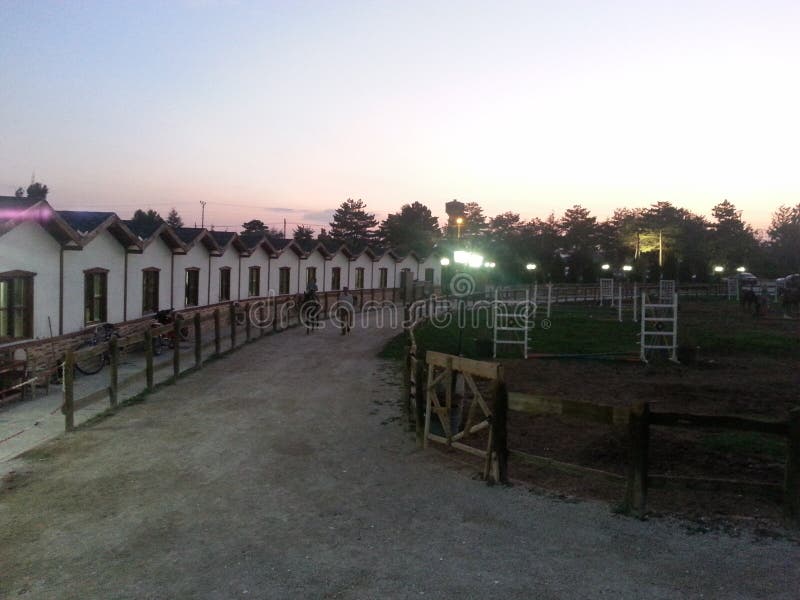 Horse Farm Walkin Area Night Editorial Photo - Image of animals, city ...