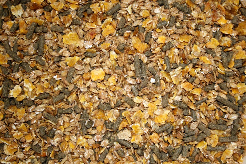 Horse feed stock photo. Image of food, concentrated, bags - 60838988