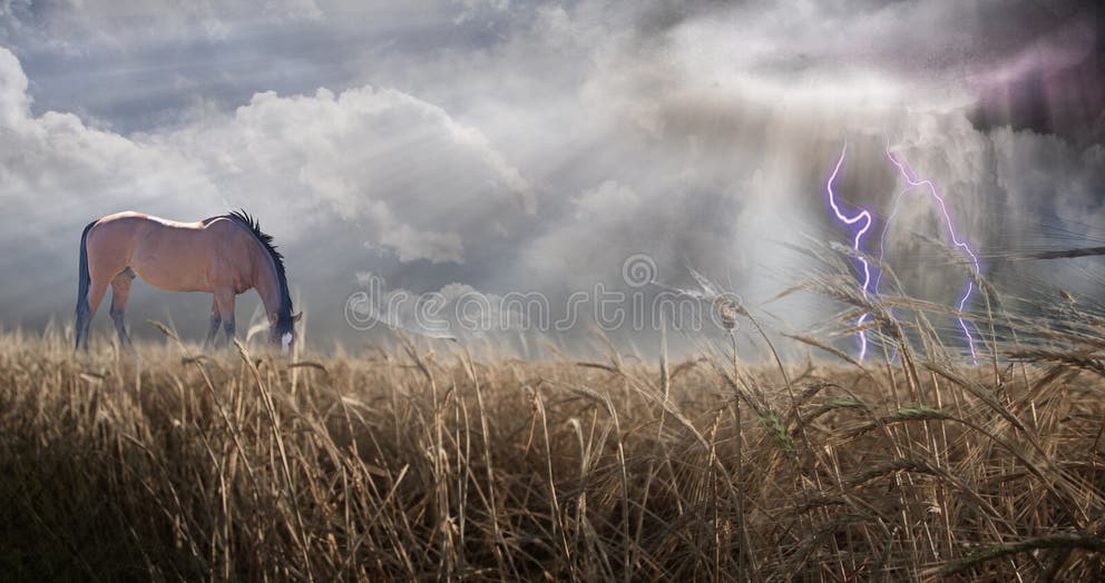 Field Thunder Stock Illustrations – 7,106 Field Thunder Stock ...