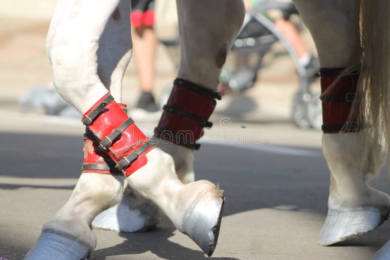 Clomping Stock Photos - Free & Royalty-Free Stock Photos from Dreamstime