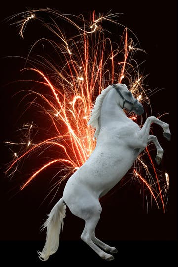 Horse fireworks stock image. Image of levade, firework - 3756923
