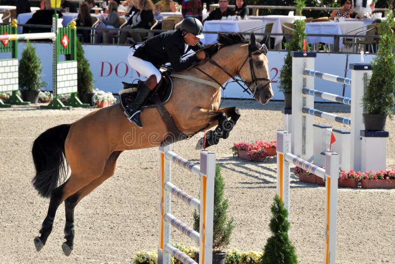 Horse in Front of a Jump Fences Editorial Photo - Image of family ...