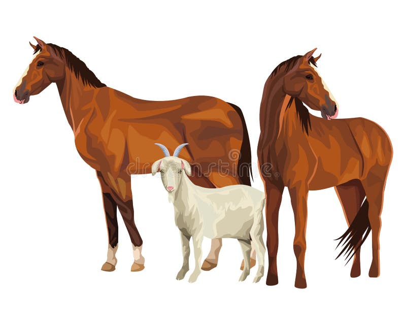 Horse and goat stock vector. Illustration of natural - 145374146