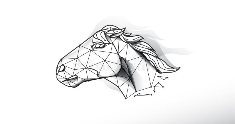 The Horse Head Forms Lines and Triangles Point Connecting Networks on ...