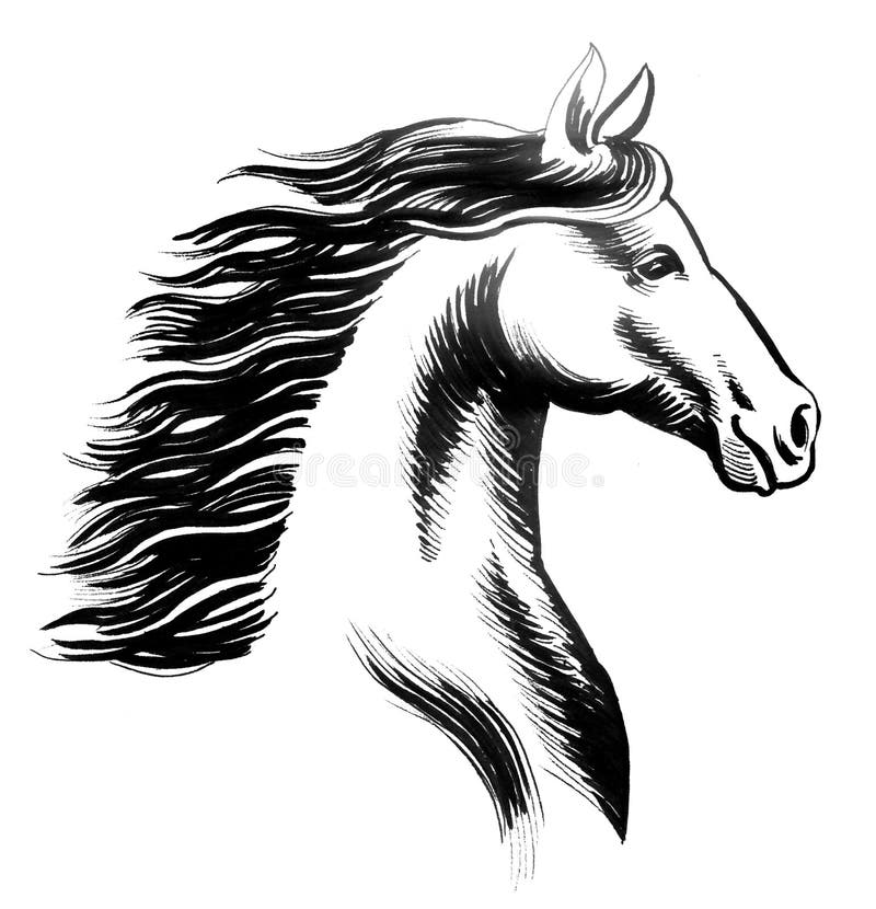 Horse Head Drawing Stock Illustrations – 19,869 Horse Head Drawing ...