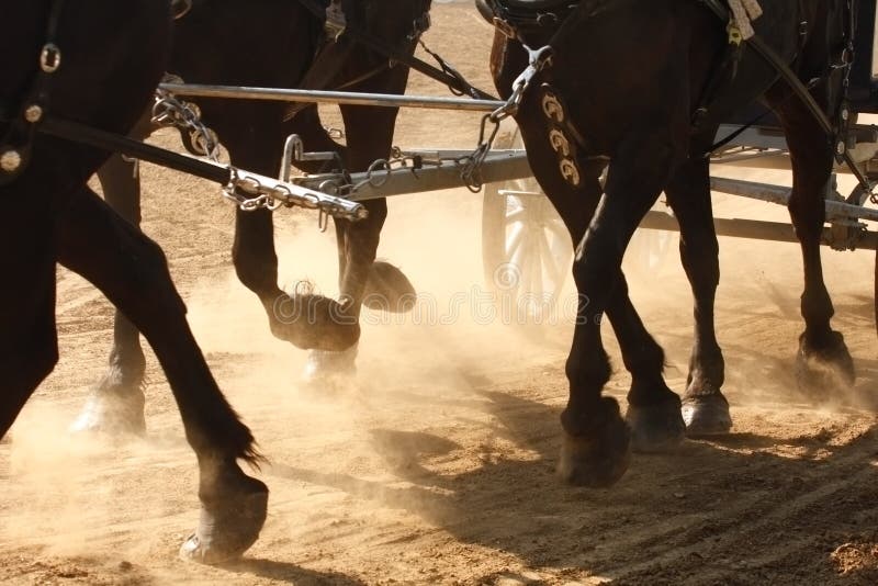 Galloping Horse Hooves stock image. Image of dirt, power - 11249327